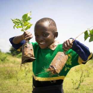 One Tree Planted - For every order we plant a new tree - Woodberry
