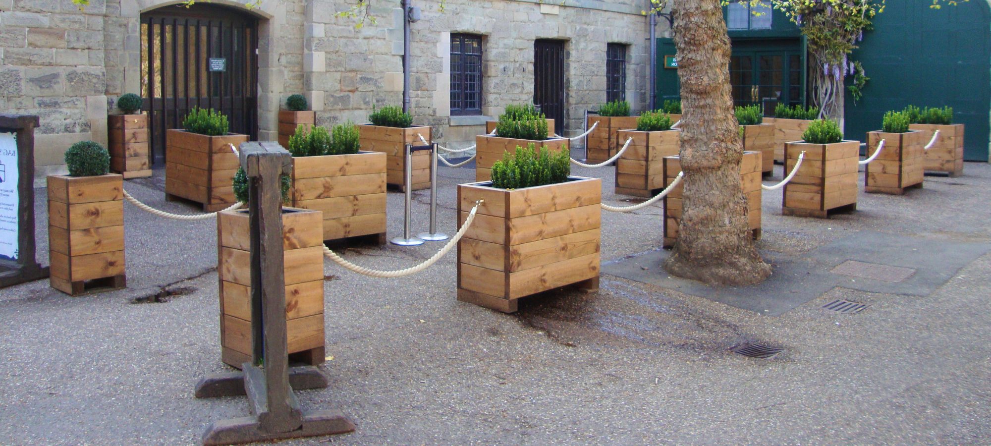 All Planters & Plants - Woodberry